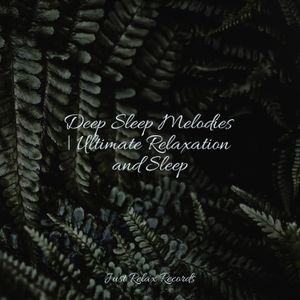 Japanese Relaxation and Meditation,Chinese Relaxation and Meditation ...