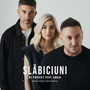 Dj Project『Slăbiciuni (Adrian Funk X OLiX Remix)』 | TOWER RECORDS MUSIC ...