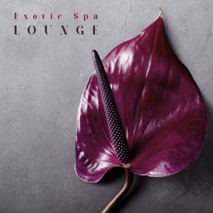 Hypnotic Therapy Music Consort Massage Spa Academy『Exotic Spa Lounge ...