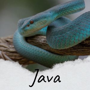 Various Artists『Java』 | TOWER RECORDS MUSIC（音楽サブスクサービス） - 100100863929